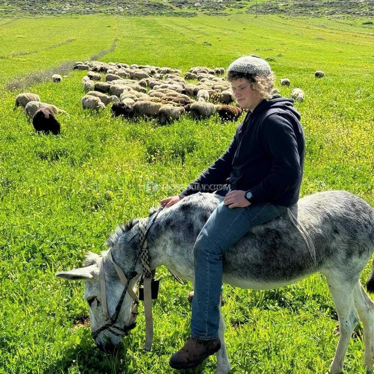 IDF Finds Body of Missing 14 year Old Israeli Shepherd, Binyamin ...