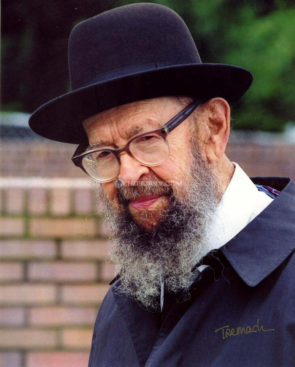 Rabbi Avigdor Miller Remembered on His Yahrtzeit - TachlisDaily.com