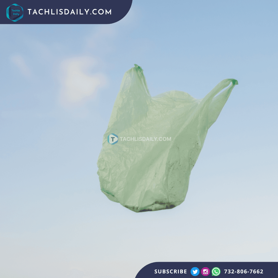 Plastic Bag Bans and Fees Prove Effective in Reducing Litter, New Study ...