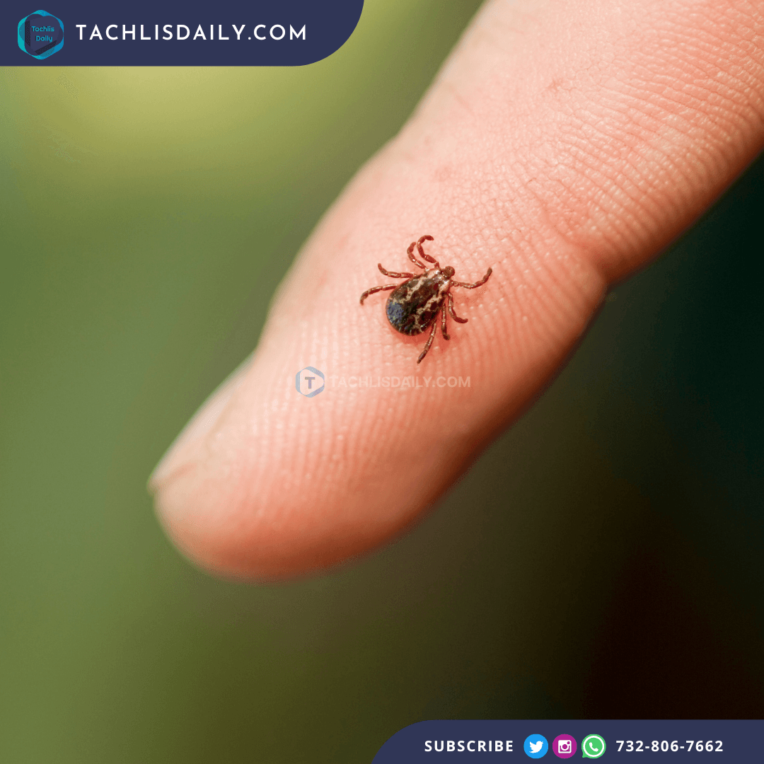 Record-Breaking Spike in Tick Bite ER Visits Alarms Health Officials ...